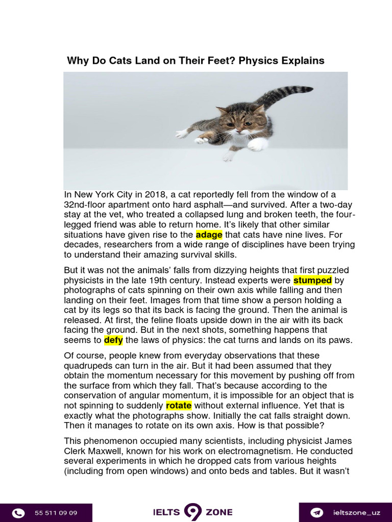 Why Do Cats Land on Their Feet? | Download Free PDF | Rotation | Force
