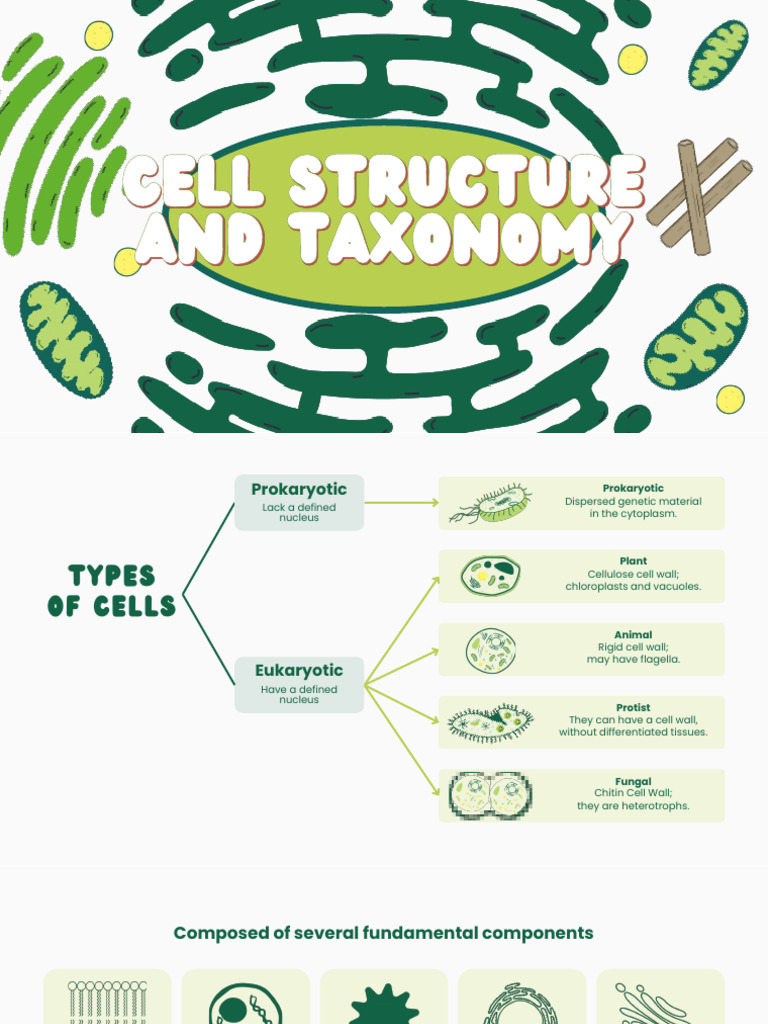 Cell Structure and Taxonomy | PDF | Cell (Biology) | Endoplasmic Reticulum