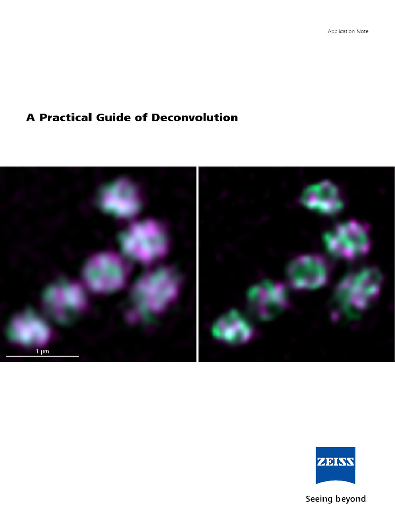 En WP LSM Plus Practical Guide of Deconvolution | PDF | Microscopy | Confocal Microscopy