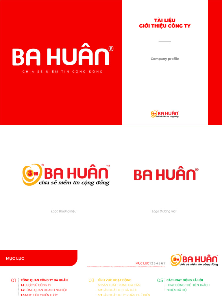 Ba Huan - Profile Company TV - 10062024 | PDF