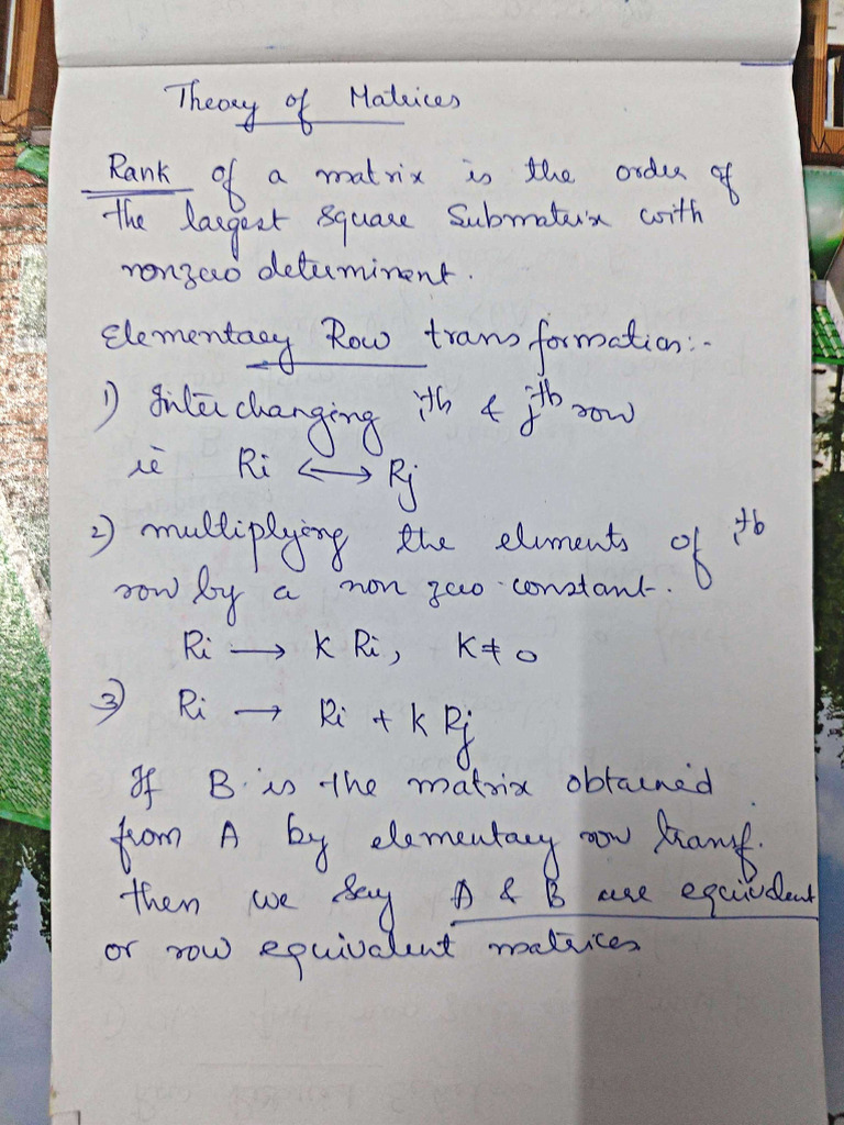 Theory of Matrices | PDF