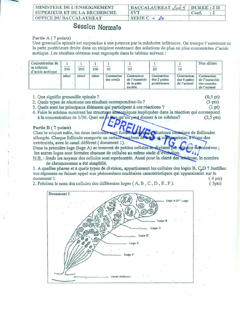 Bac A Svt 2009 Pdf