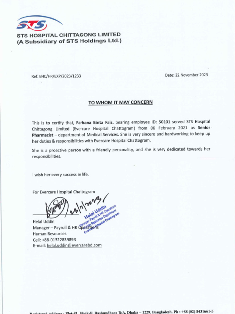 Working Experience Pdf