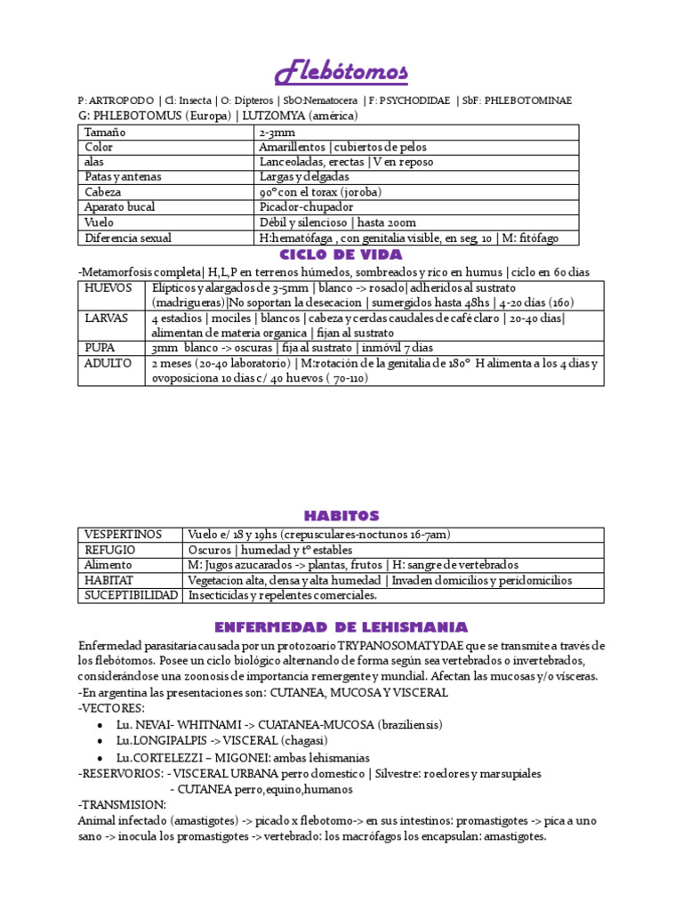 Flebótomos | PDF | Mosca