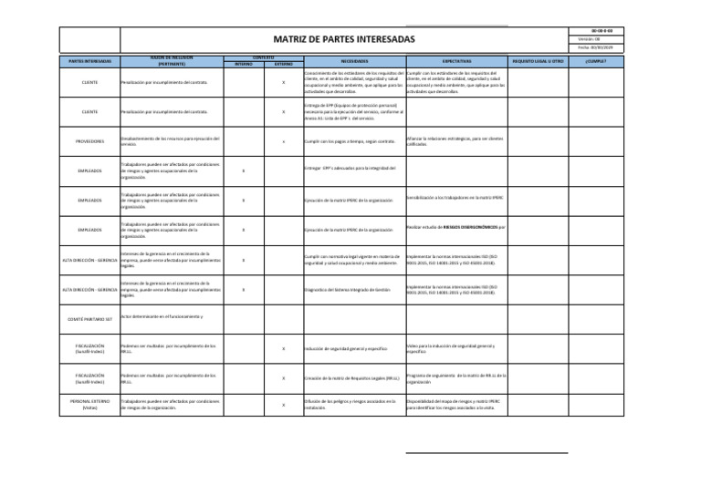 Matriz de partes interesadas | PDF | Cliente | Economias