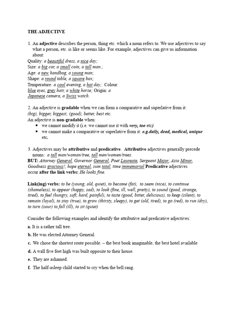 The Adjective | PDF | Adjective | Linguistic Morphology