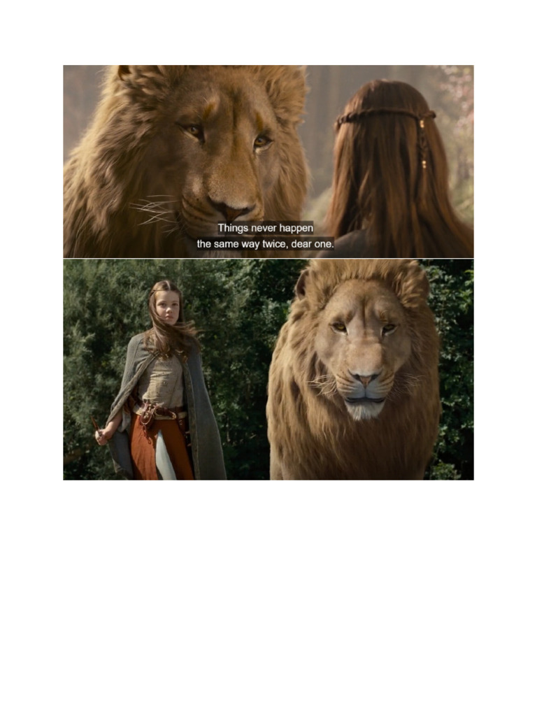 ASLAN | PDF