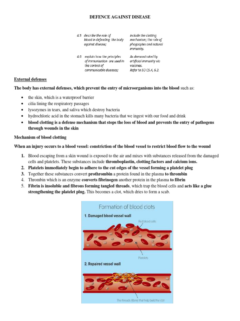 Defence Against Disease | PDF | Immune System | Vaccines