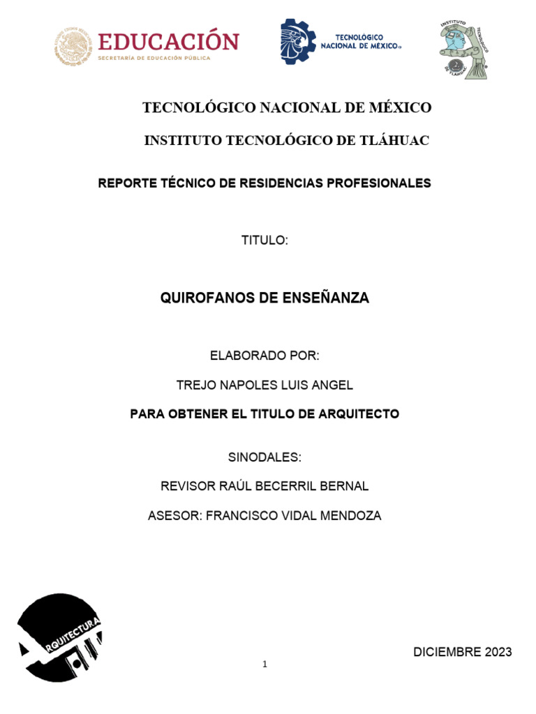 Reporte Tecnico Resid. Prof. | PDF