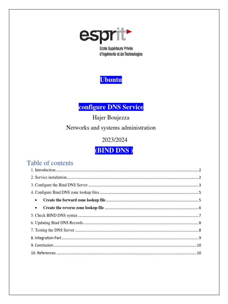 DNS Lab | PDF | Domain Name System | Directories