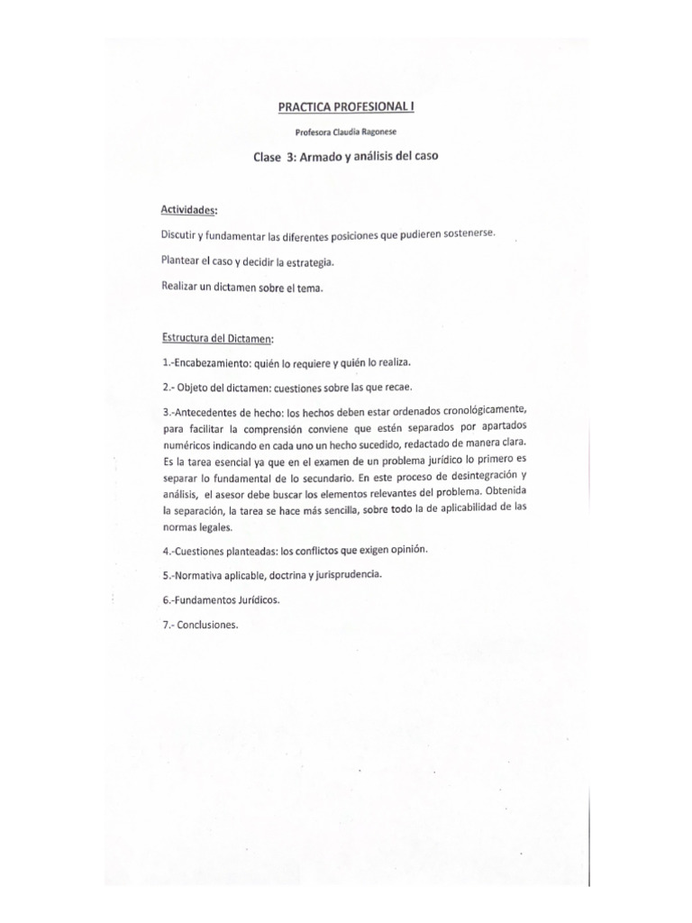 Practica Profesional I | PDF