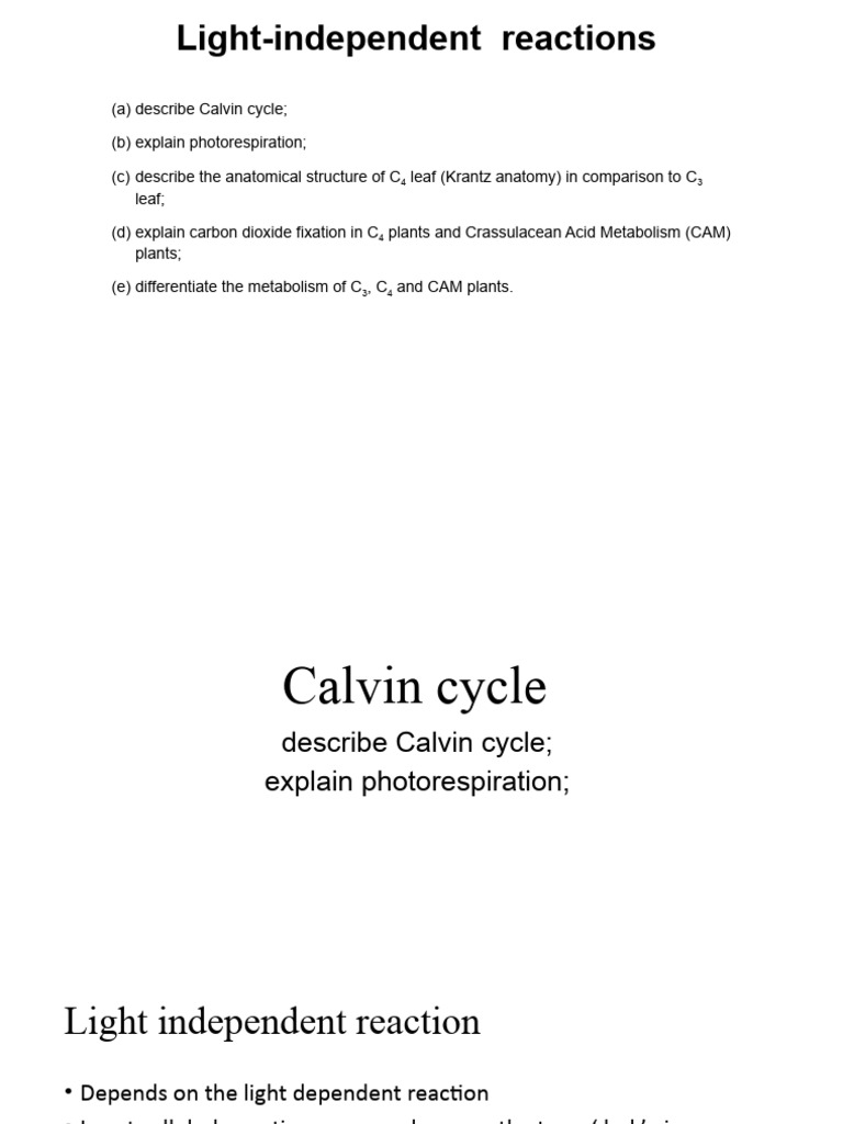 Lesson 4 Light-independent reactions | PDF | Metabolism | Biochemistry