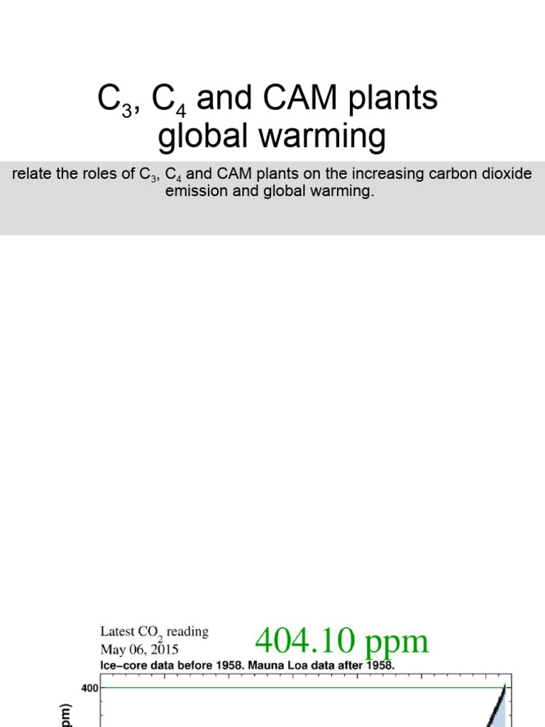 Lesson 7 C3, C4 and CAM Plants, Global Warming | PDF | Carbon Dioxide ...
