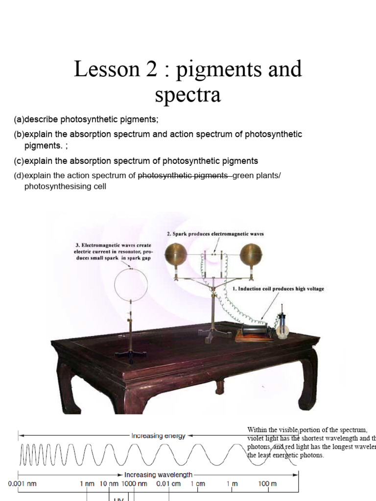 Lesson 2 Pigments and Spectra | PDF | Photosynthesis | Electromagnetic ...