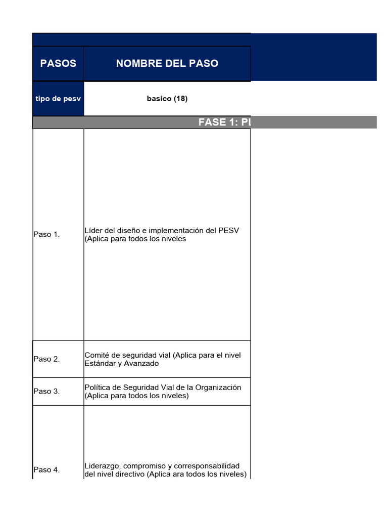 Formato Auditoria Pesv | PDF | Auditoría | Planificación