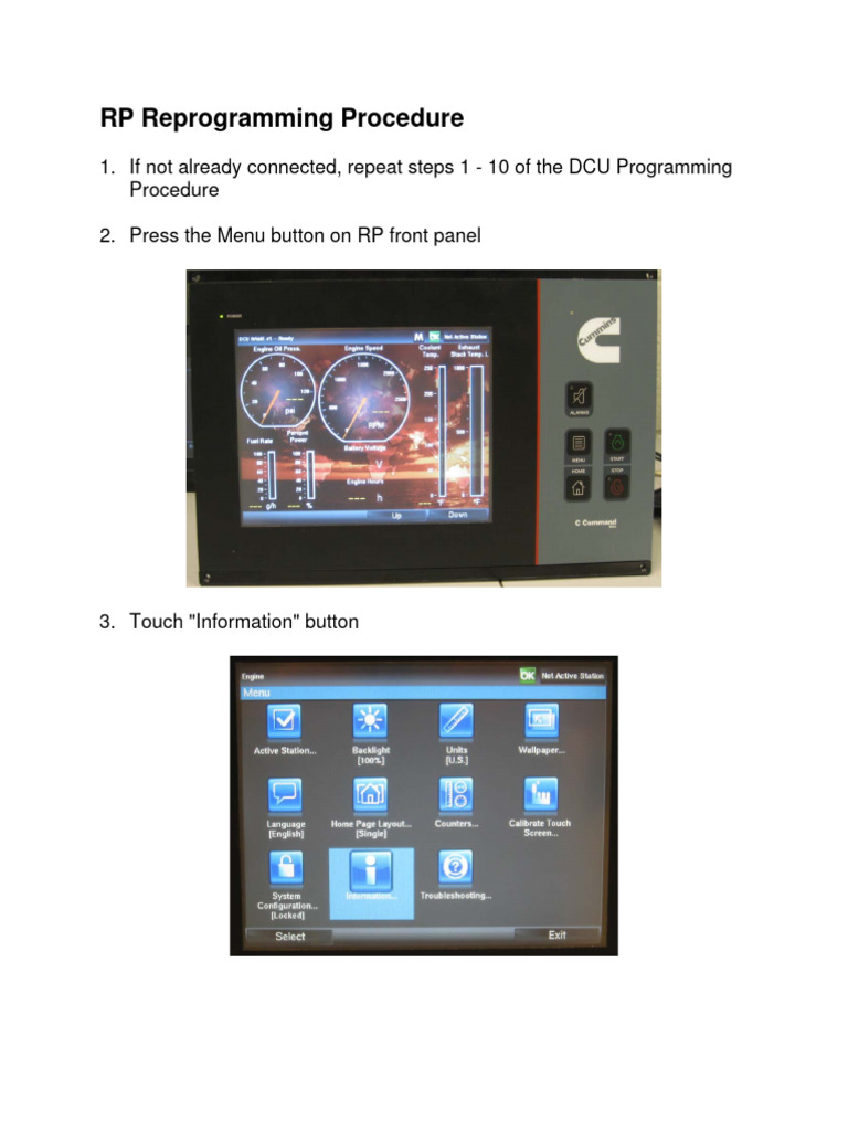 RP Reprogramming Procedure | PDF