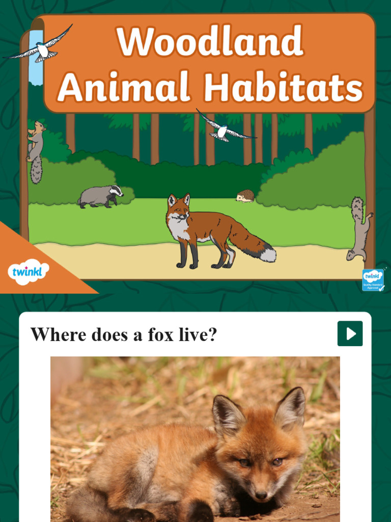 T T 2546495 Woodland Animal Habitats Powerpoint Ver 4 | PDF