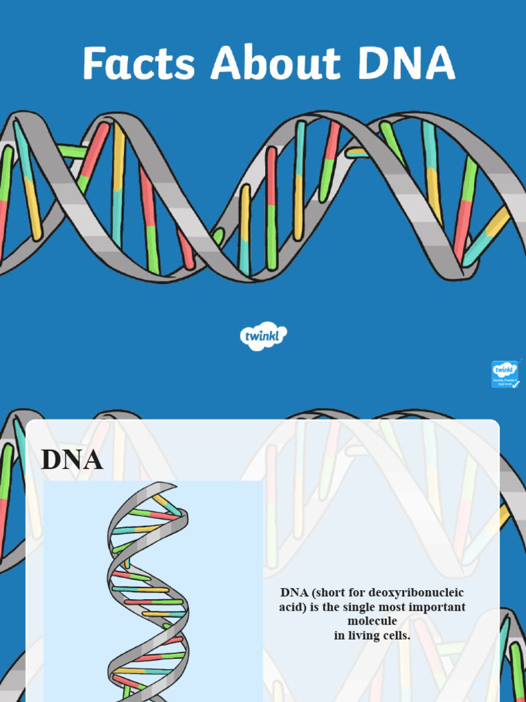 Cfe2 s 11 Facts About Dna Powerpoint Ver 2 | Download Free PDF | Dna ...