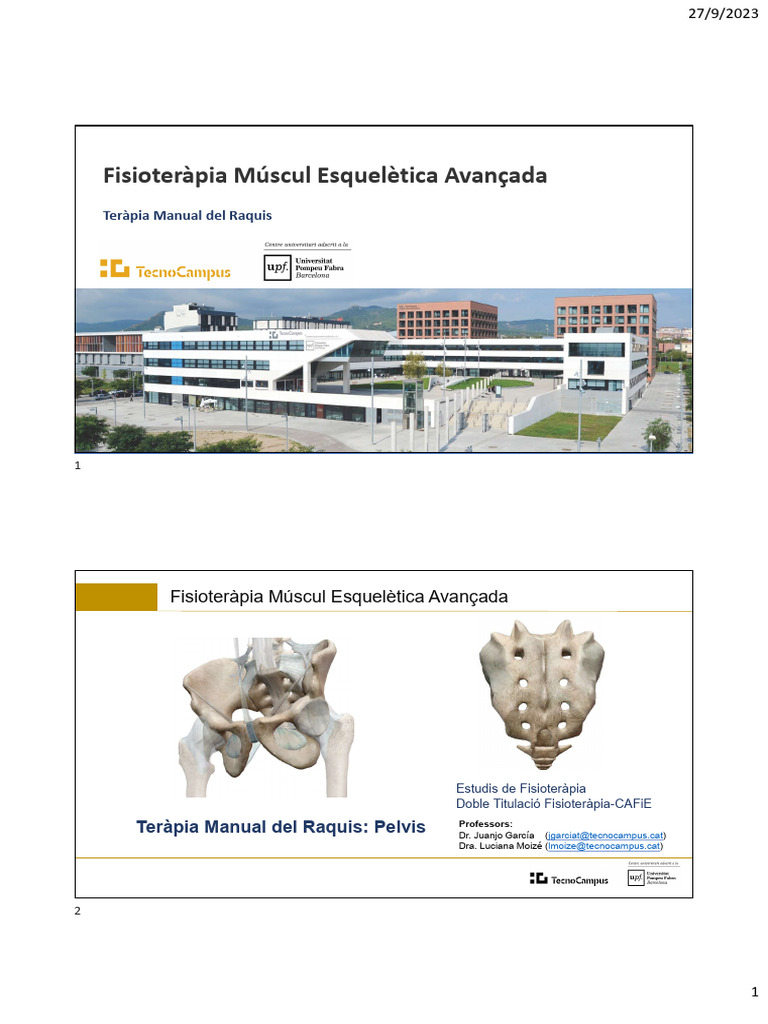 Sacroiliaca Regió Pelviana - FMSK Avançada | PDF