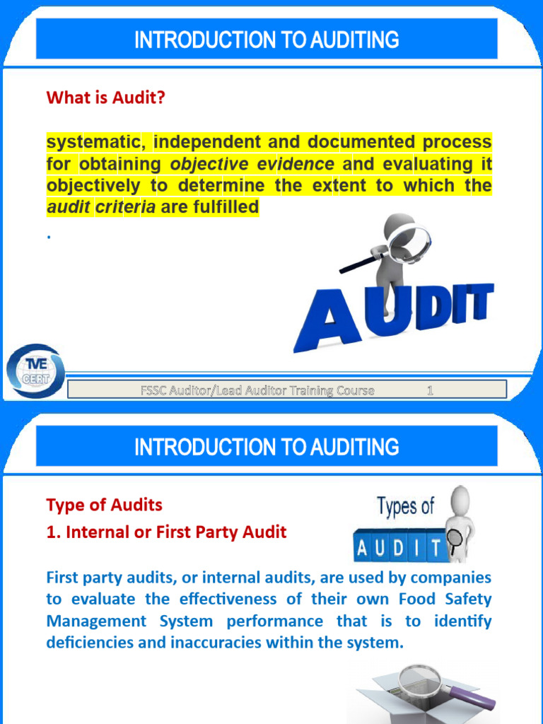 Introduction To Auditing | PDF | Audit | Business