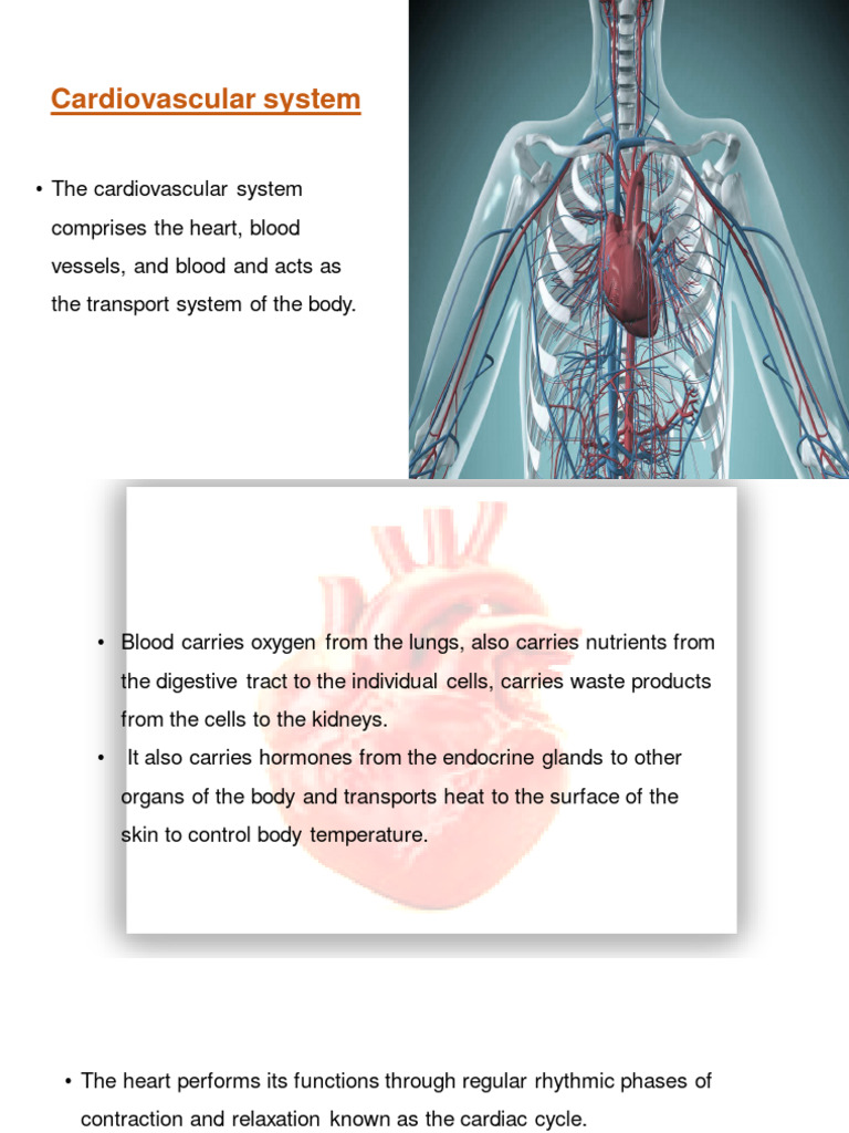 Physical Disorders - Cad | PDF | Myocardial Infarction | Heart