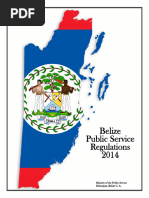Public Service Rules Overview | PDF