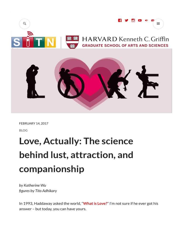 Love Actually The Science Behind Lust Attraction And Companionship