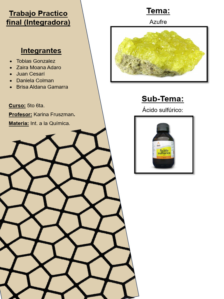TP Integrador Quimica | PDF | Hogar, jardinería y bricolaje