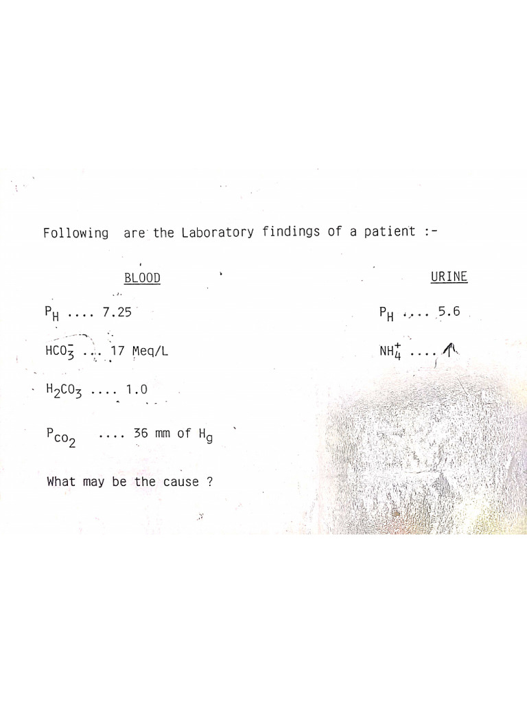 Charts 231204 012552 | PDF