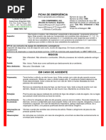 Modelo Ficha de Emergencia | PDF