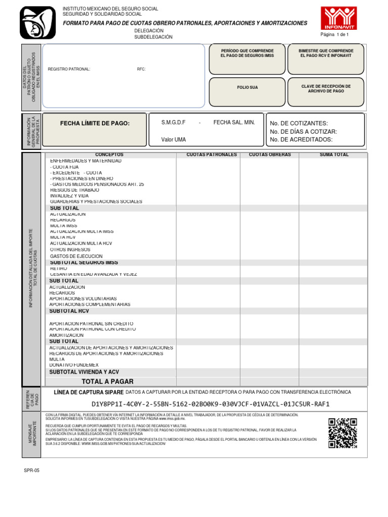 Formato Sipare | PDF