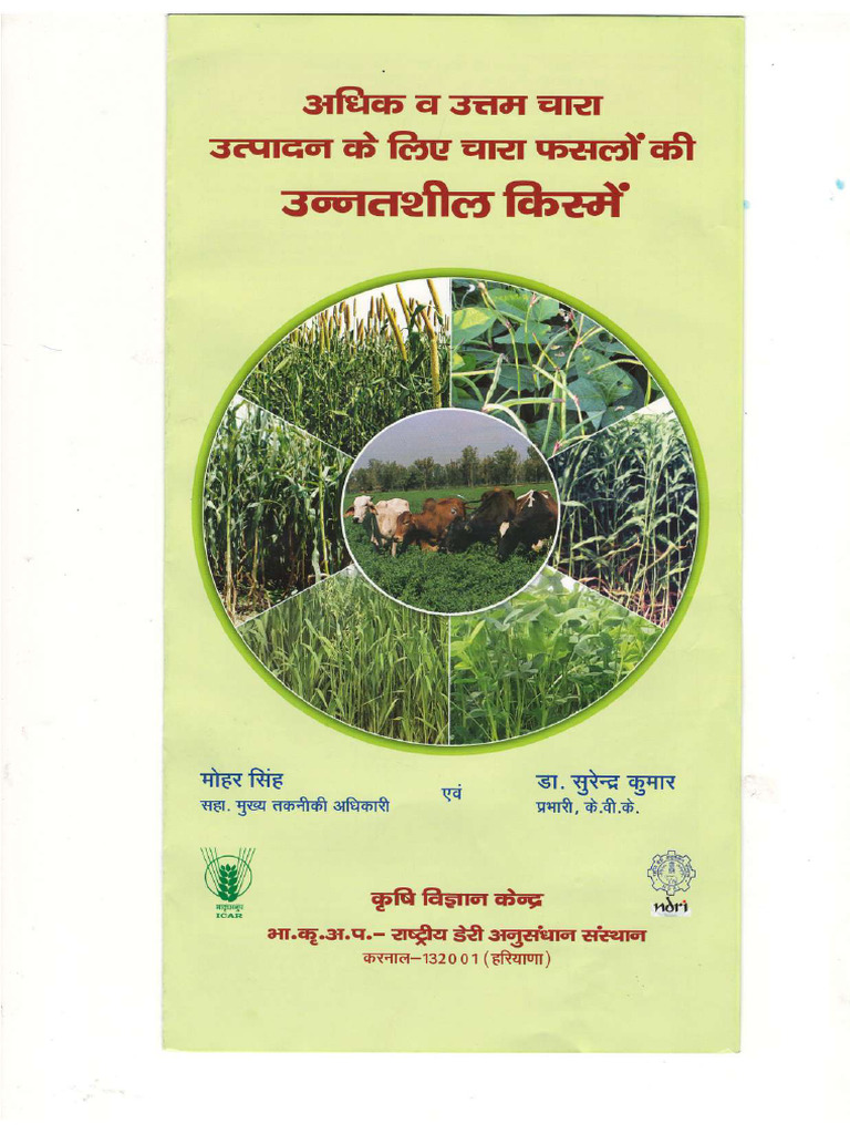 Ndri Fodder Crops | PDF