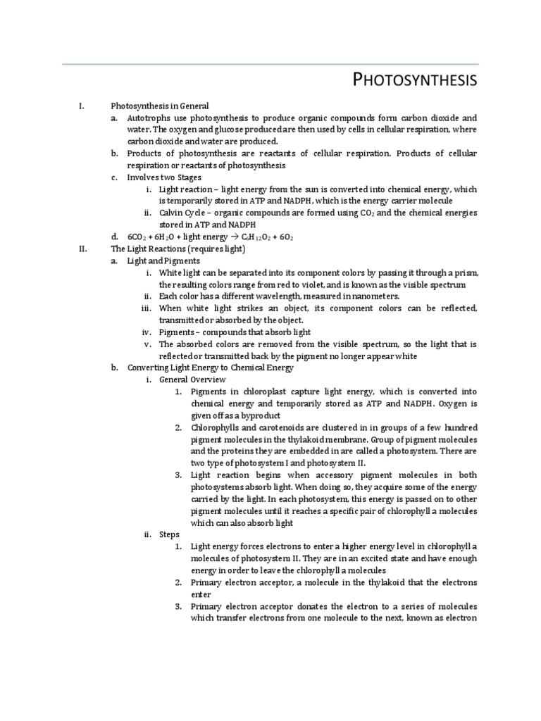 IB HL Biology Photosynthesis Notes | PDF | Chlorophyll | Photosynthesis