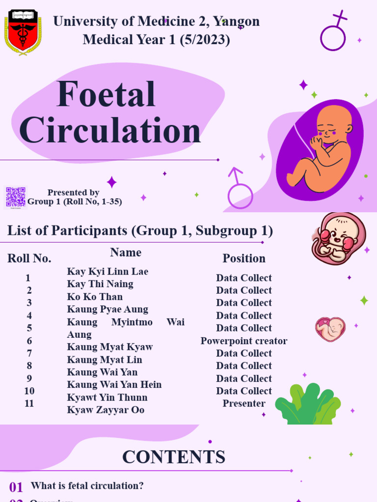 Foetal Circulation Group Presentation Group 1 | PDF | Atrium (Heart ...