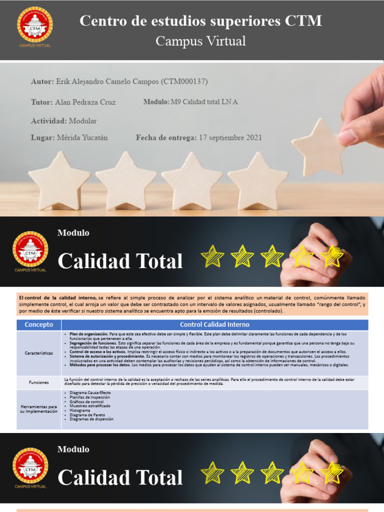 Actividad Modular | PDF | Calidad (comercial) | Business