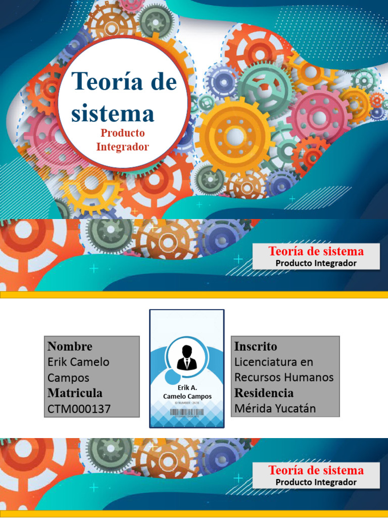 Actividad Integradora Teoria de Sistemas | PDF | Teoría de sistemas | Business