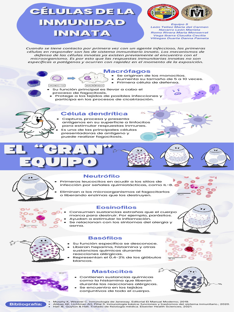 Infografía Inmunidad Innata | PDF | Sistema inmune | Infección