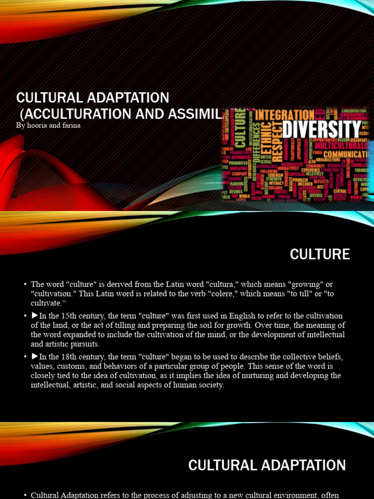 Cultural Adaptation | PDF | Cultural Assimilation | Cross Cultural ...