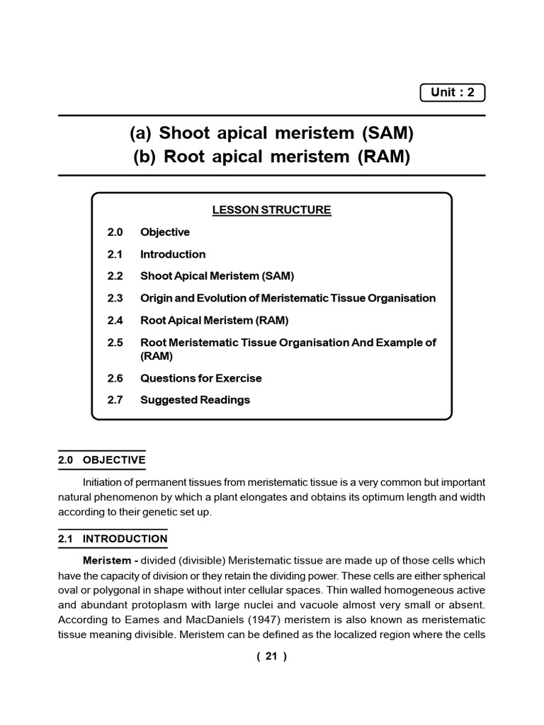 MSC Botany Paper-VIII Unit-2 | PDF | Tissue (Biology) | Root