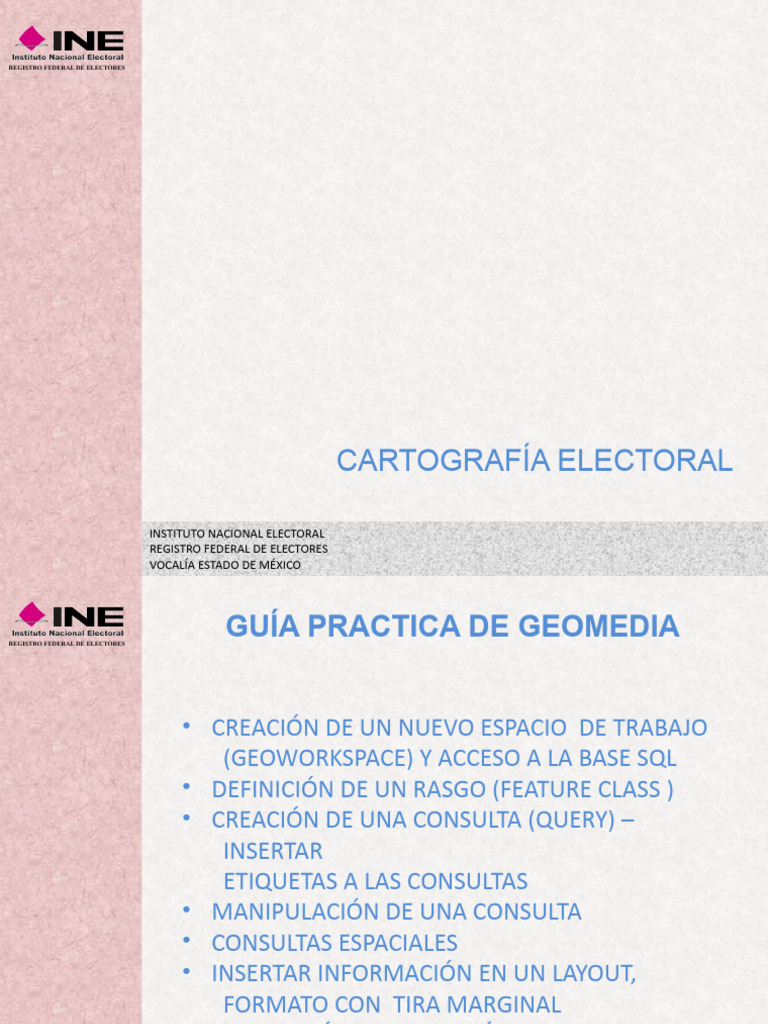 Curso Taller Geomedia Ine | PDF | Organizaciones relacionadas con el gobierno | Votación
