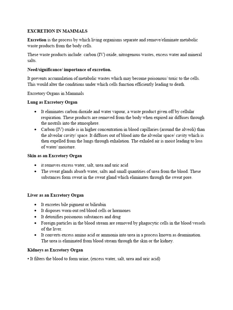 Excretion in Mammals | PDF | Kidney | Urinary System