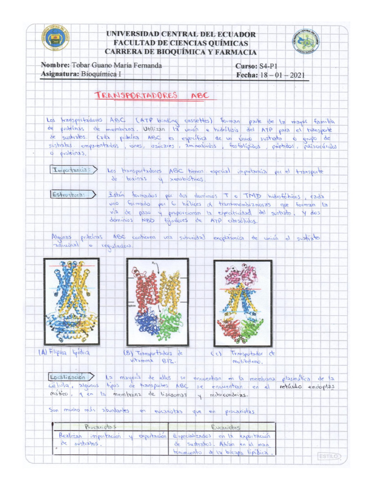 Transportadores ABC | PDF
