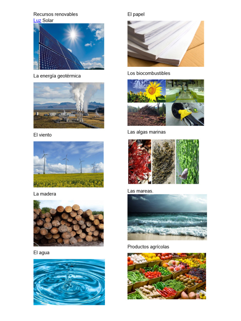 10 recursos renovables y no renovables | PDF