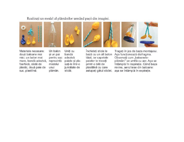 Experiment Plamani | PDF