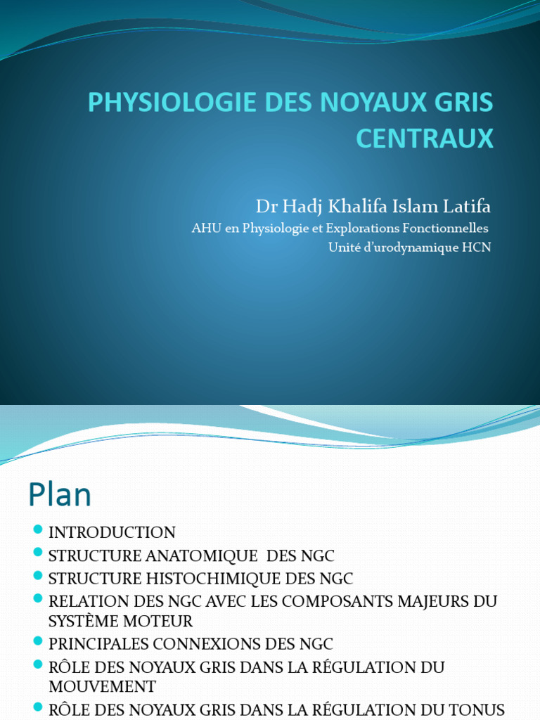 Physiologie des Noyaux Gris Centrales | PDF | Maladie de Parkinson ...