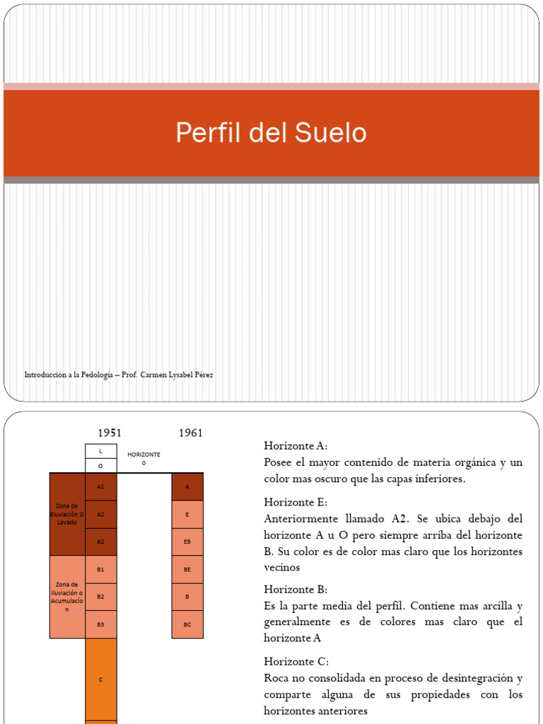 Factores y Procesos de Formación del Suelo | PDF | Suelo | Clima