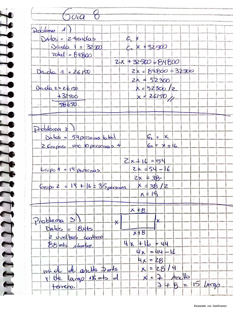 Guía 8 Matemáticas - Francisca Vasquez | PDF
