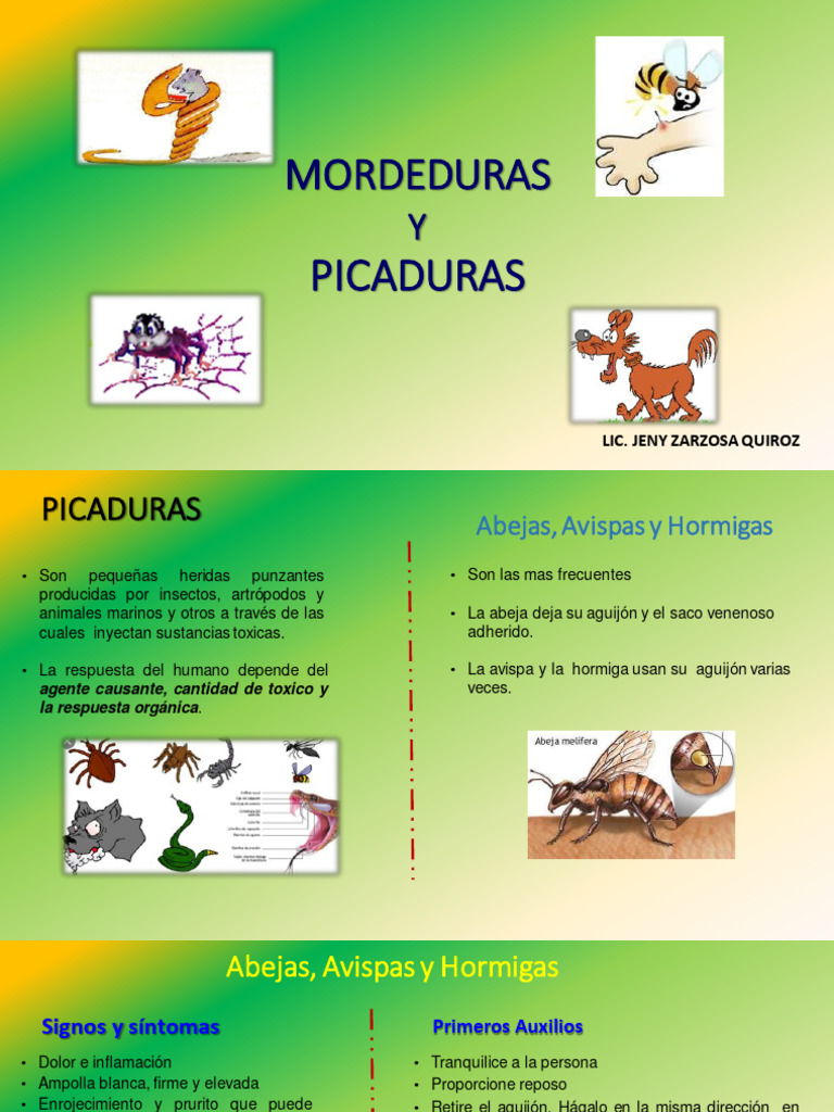 Picaduras y Mordeduras | PDF | Avispa | Primeros auxilios