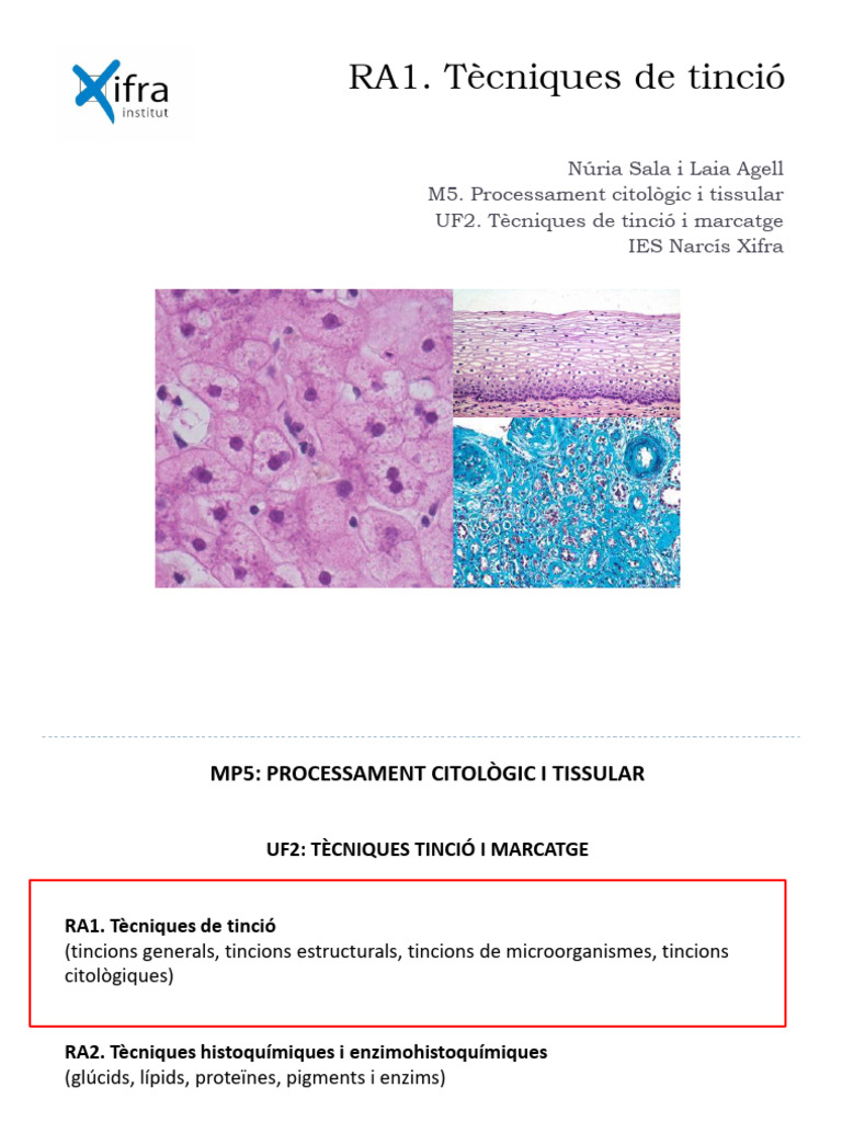 RA1. Tècniques de Tinció | PDF