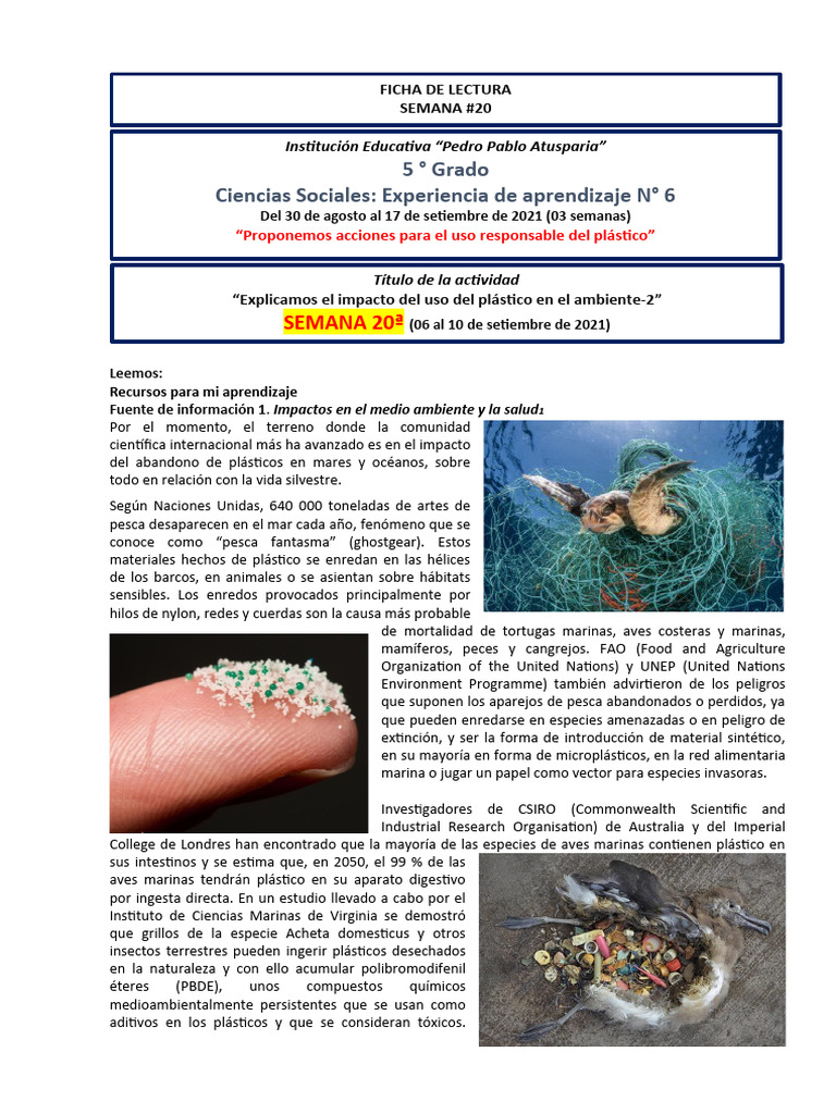 Impacto del Plástico en el Medio Ambiente | PDF | El plastico ...